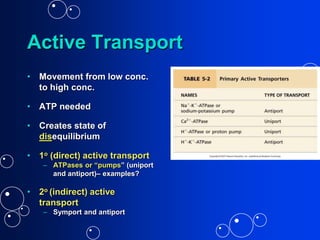 Membrane_transport_2021-46884.ppt
