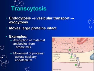 Membrane_transport_2021-46884.ppt