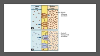 Membrane transport and absorption | PPTX