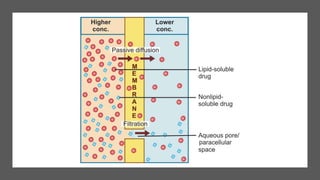 Membrane transport and absorption | PPTX