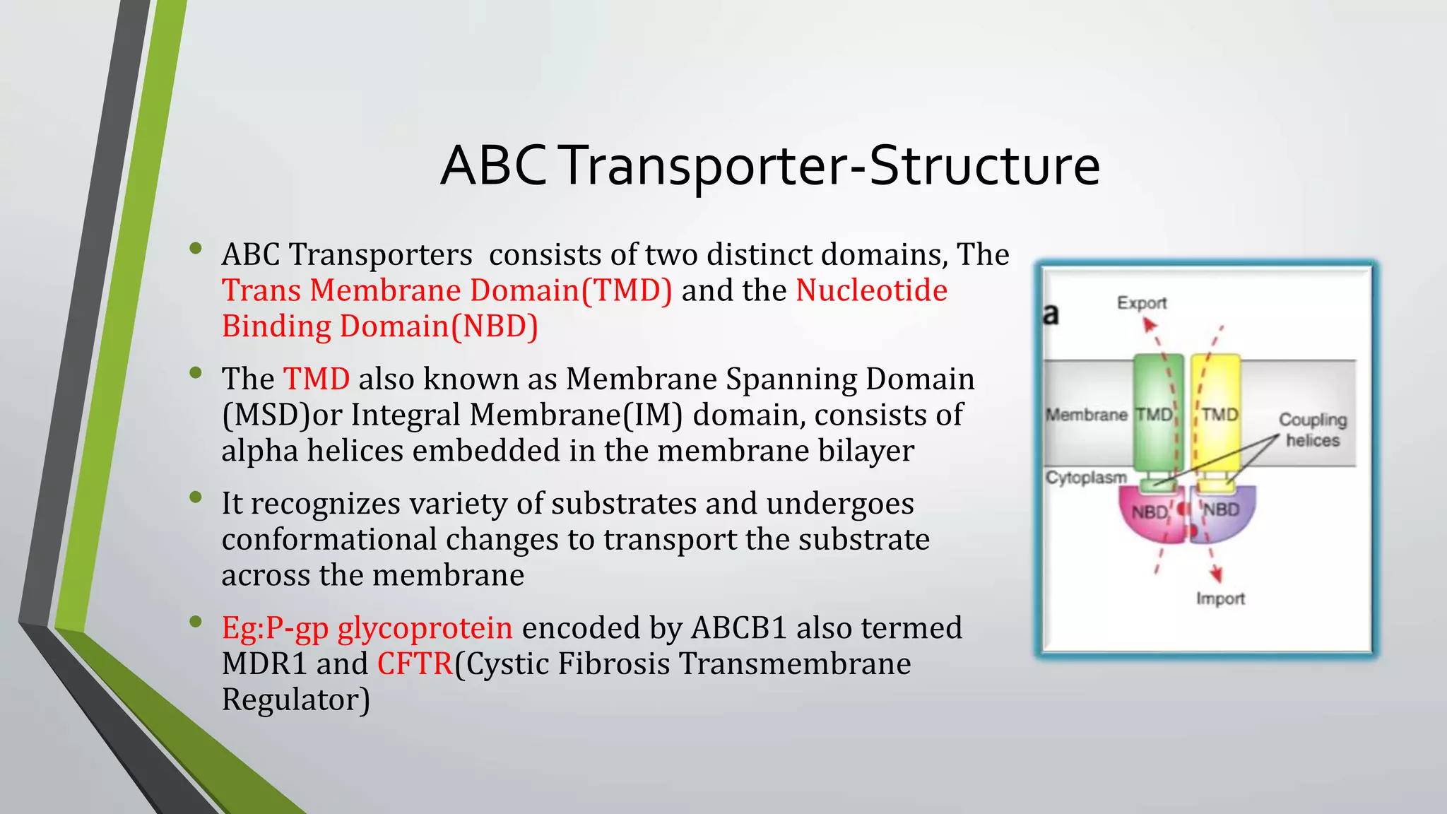 Membrane transporters and drug response | PPTX
