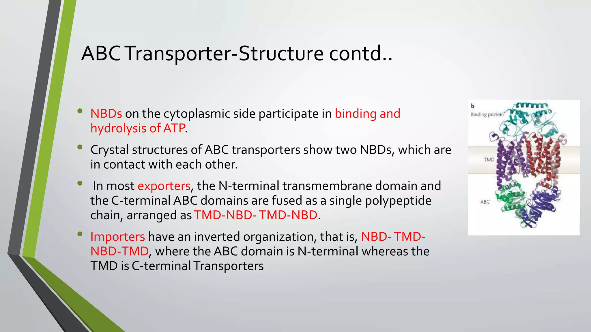 Membrane transporters and drug response | PPTX