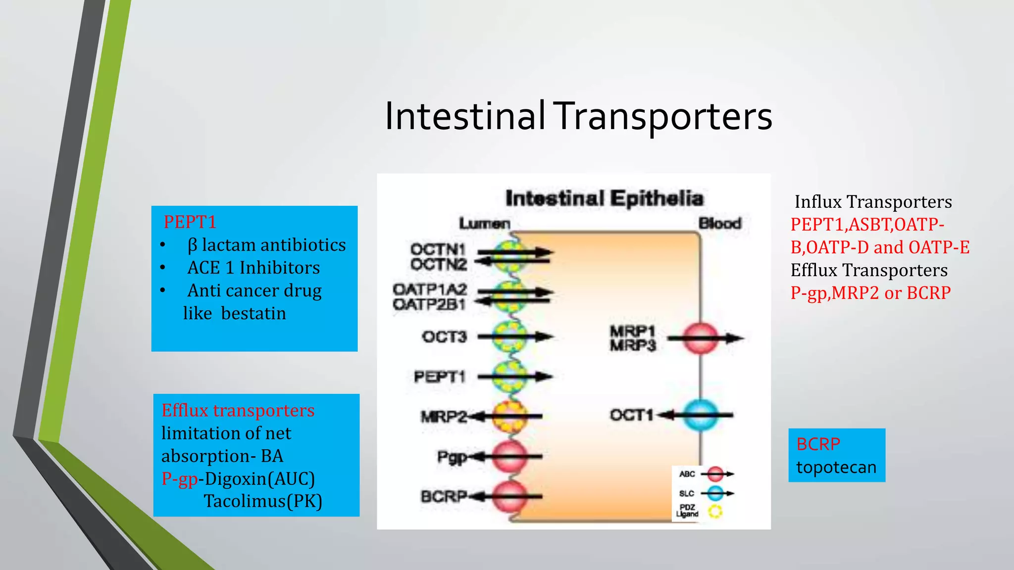 Membrane transporters and drug response | PPTX