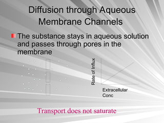 Membrane Transport 1 GMOKONE_2020 (1).ppt