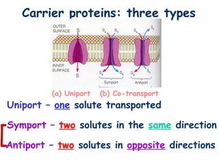 Membrane Transport (lecture 10) (Medicinal Chemistry).ppt