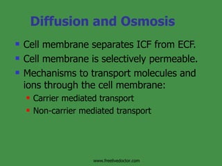 Membrane Transport&Membrane Potential | PPT