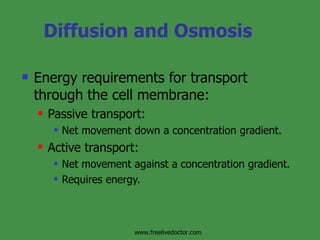 Membranes And Transport | PPT