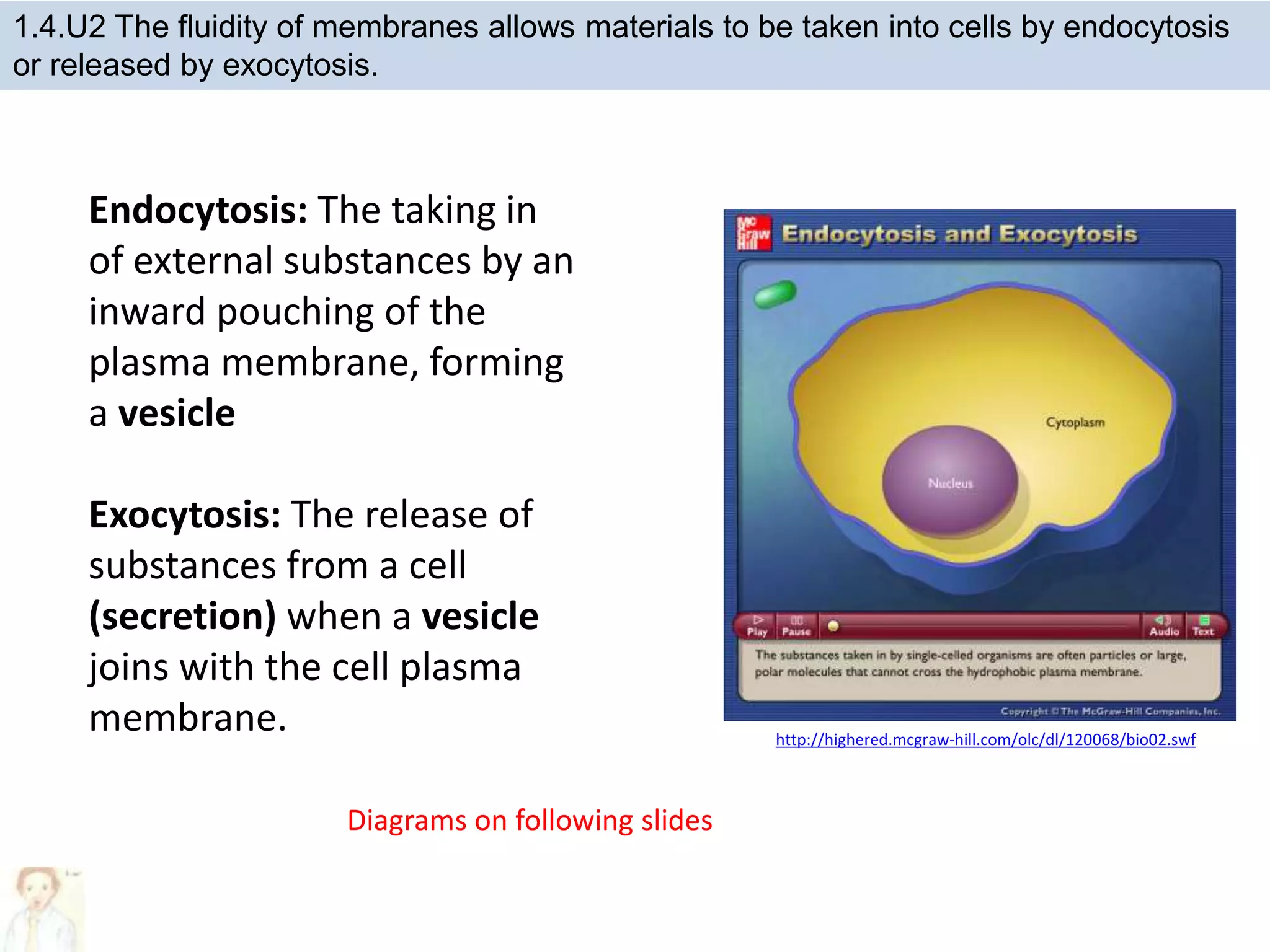 membrane transport ppt.pptx | Chemistry | Science