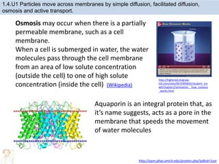 membrane transport ppt.pptx | Chemistry | Science