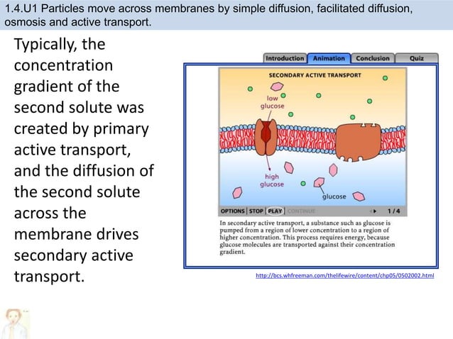 membrane transport ppt.pptx | Chemistry | Science