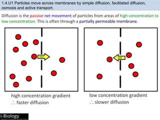 membrane transport ppt.pptx | Chemistry | Science
