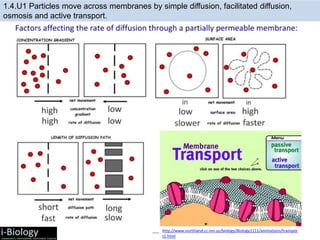 membrane transport ppt.pptx | Chemistry | Science