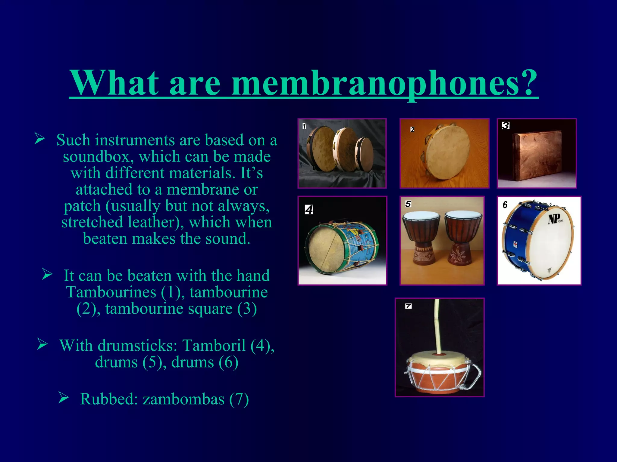 Membranofonos | PPT | Music | Entertainment