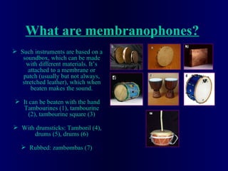 Membranofonos | PPT | Music | Entertainment
