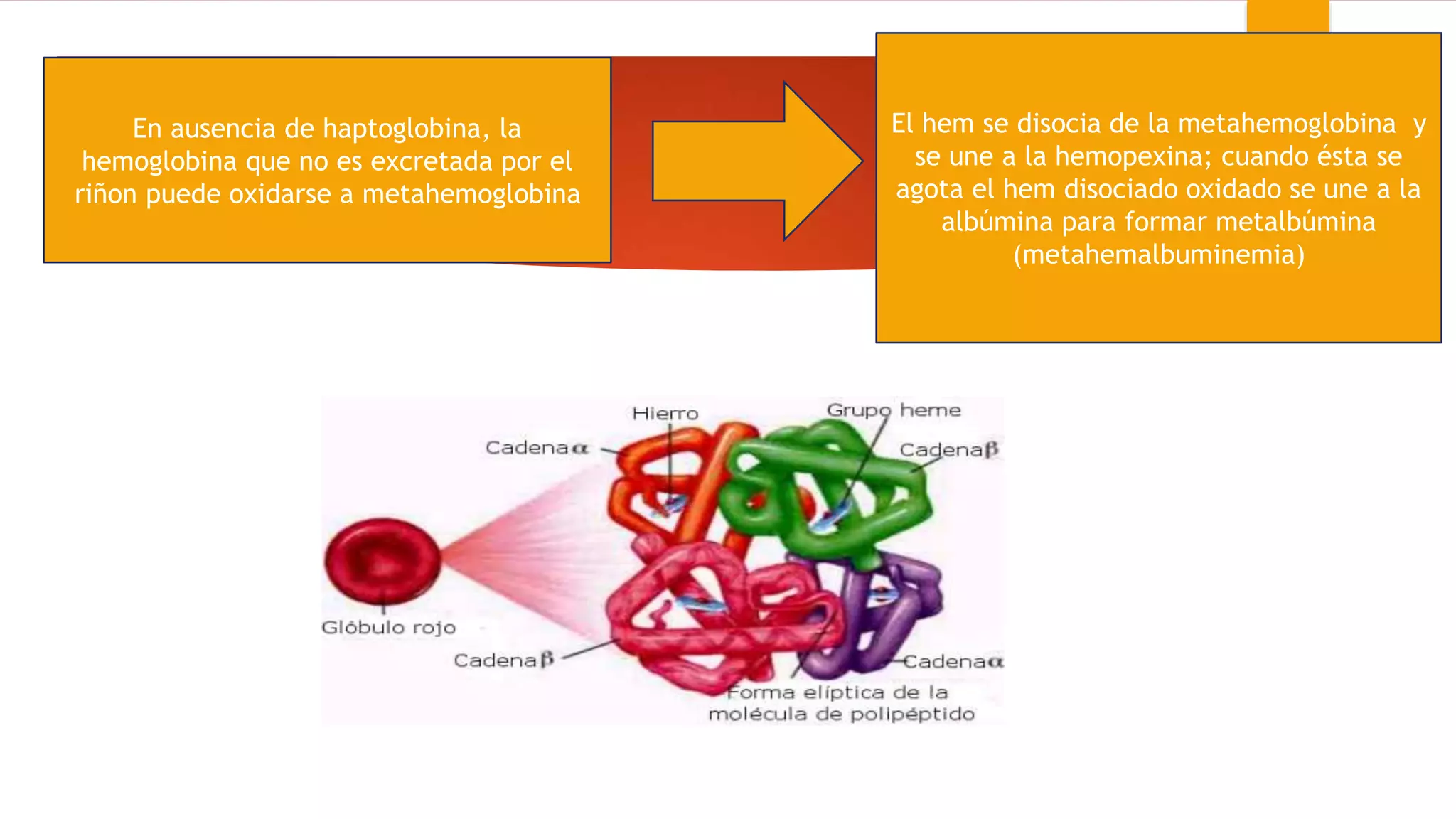 Membranopatias microesferocitosis | PPTX