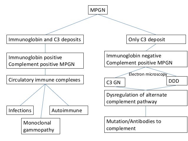 Membranoproliferative glomerulonephritis, nephritic nephrotic syndrome