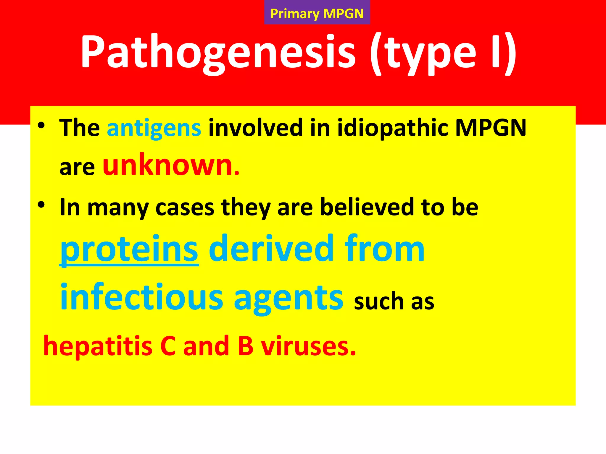 Membranoproliferative glomerulonephritis s | PPT