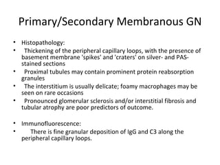 Membranous GN | PPT