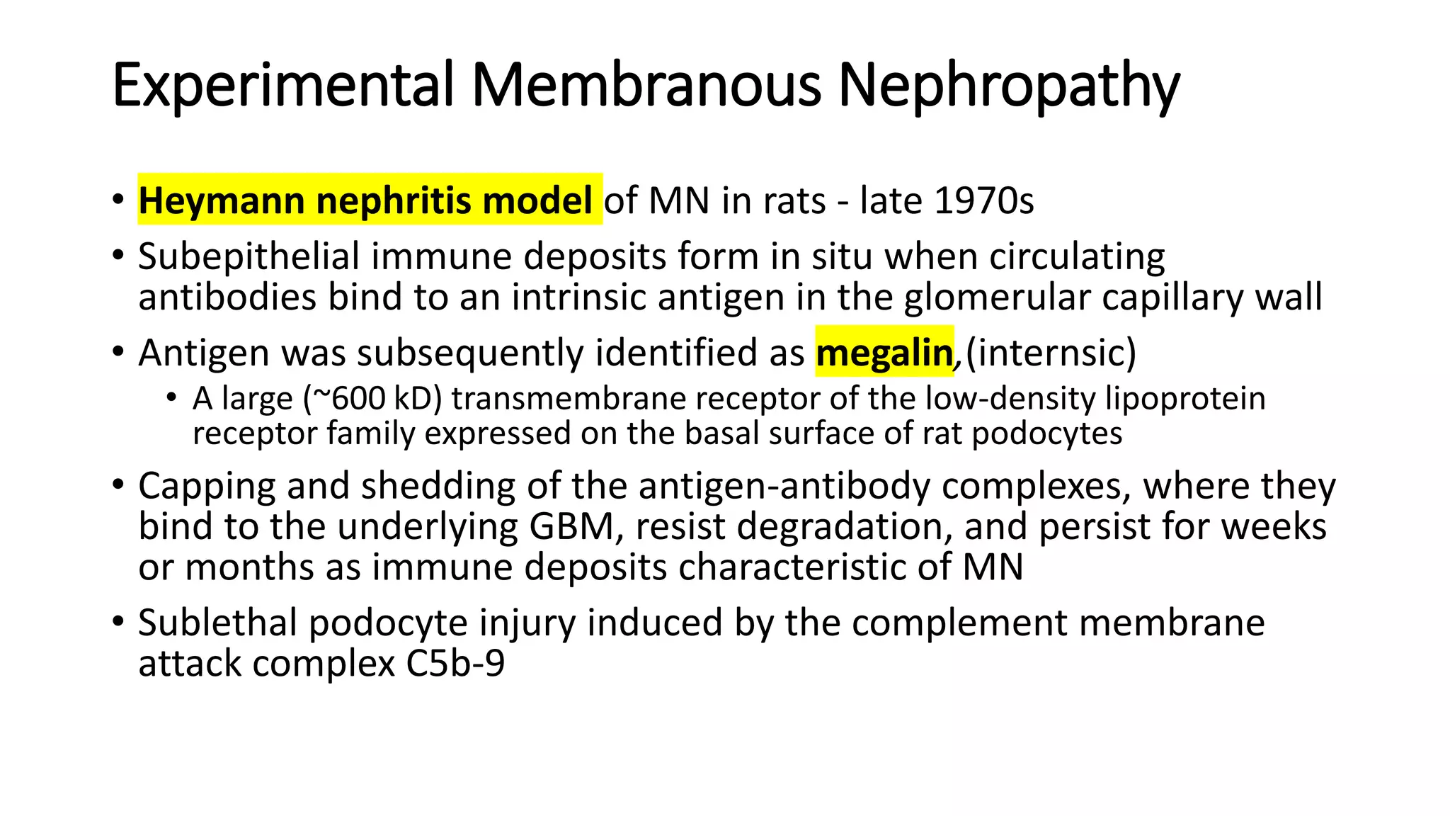 Membranous nephropathy | PPTX