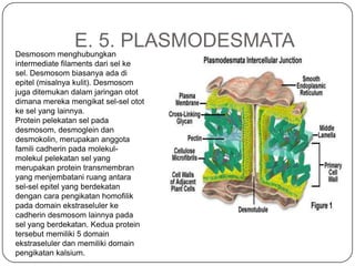 Membran plasma | PPT