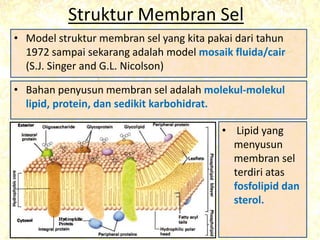 Membran sel | PPTX
