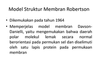 Membran sel | PPT