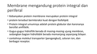 MEMBRAN SEL.pptx
