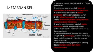 MEMBRAN SEL.pptx