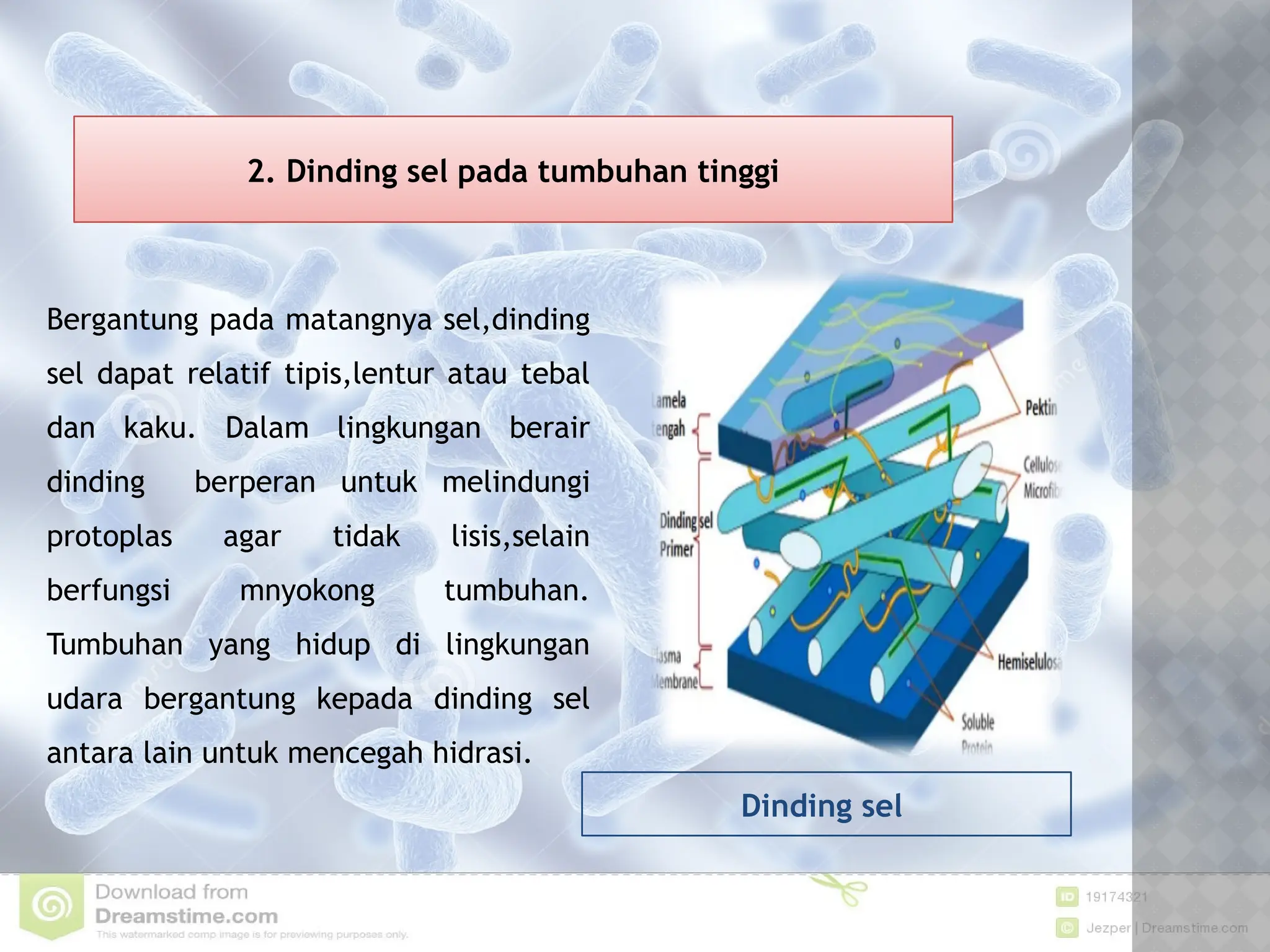 tugas kelompok MEMBRAN SEL DAN DINDING SEL.pptx