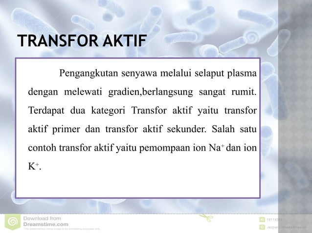 tugas kelompok MEMBRAN SEL DAN DINDING SEL.pptx