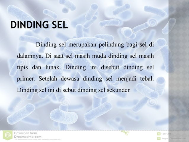 tugas kelompok MEMBRAN SEL DAN DINDING SEL.pptx