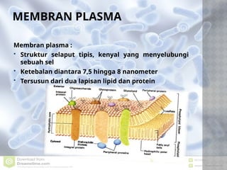 tugas kelompok MEMBRAN SEL DAN DINDING SEL.pptx
