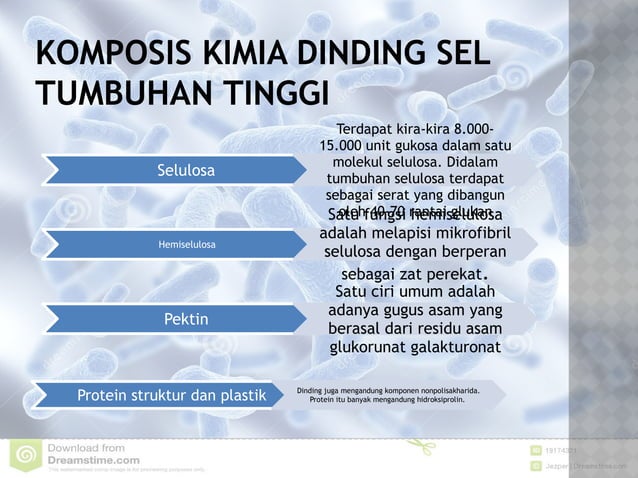 tugas kelompok MEMBRAN SEL DAN DINDING SEL.pptx