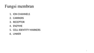Membran Sel Pada Manusia, Hewan, dan Tum | PPTX