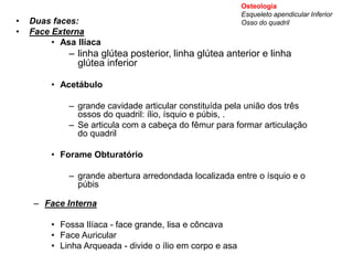 Membro Inferior (osteologia I ).ppt