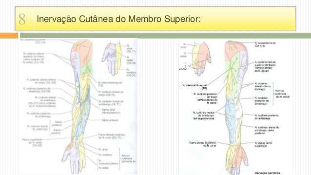 Membro superior.pptx