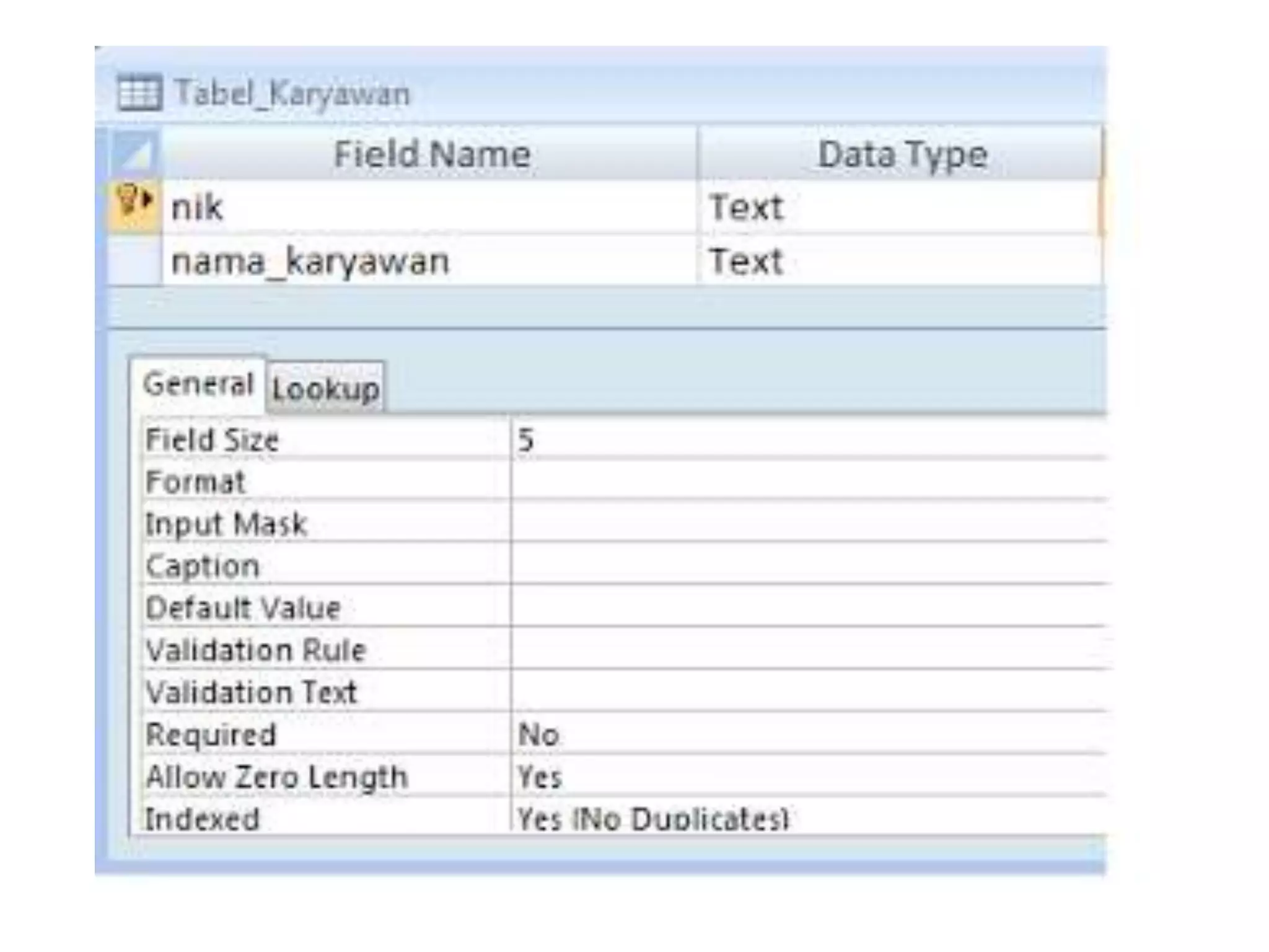 Membuat database sederhana dengan ms.access 2007 | PPTX