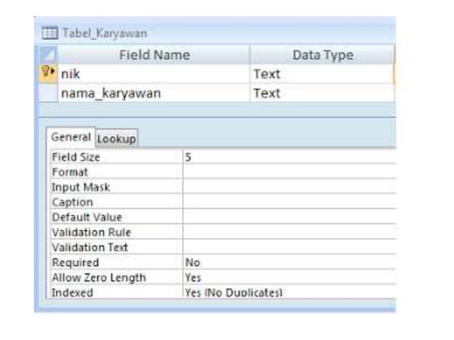 Membuat database sederhana dengan ms.access 2007 | PPTX