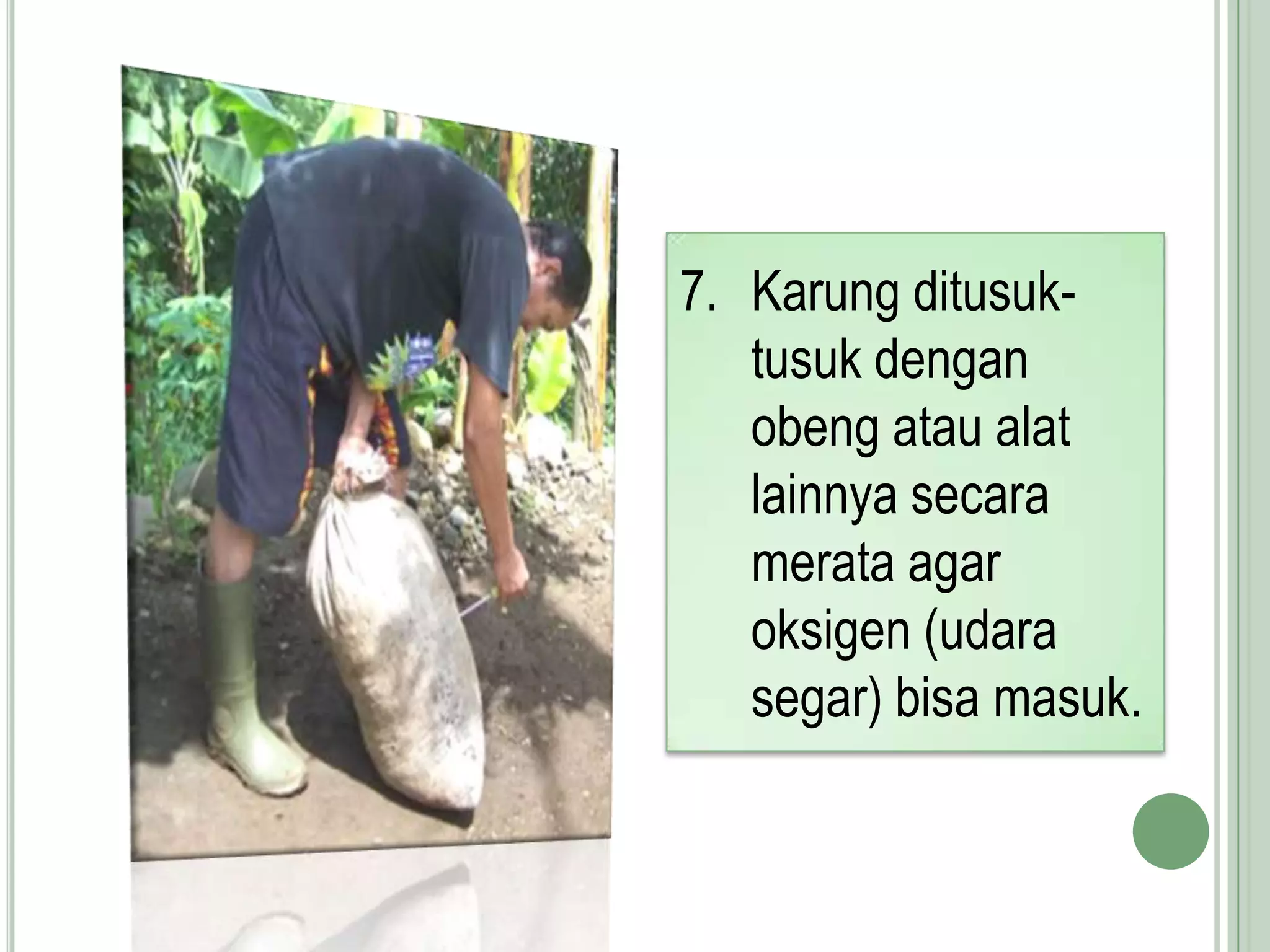 Membuat kompos | PPTX