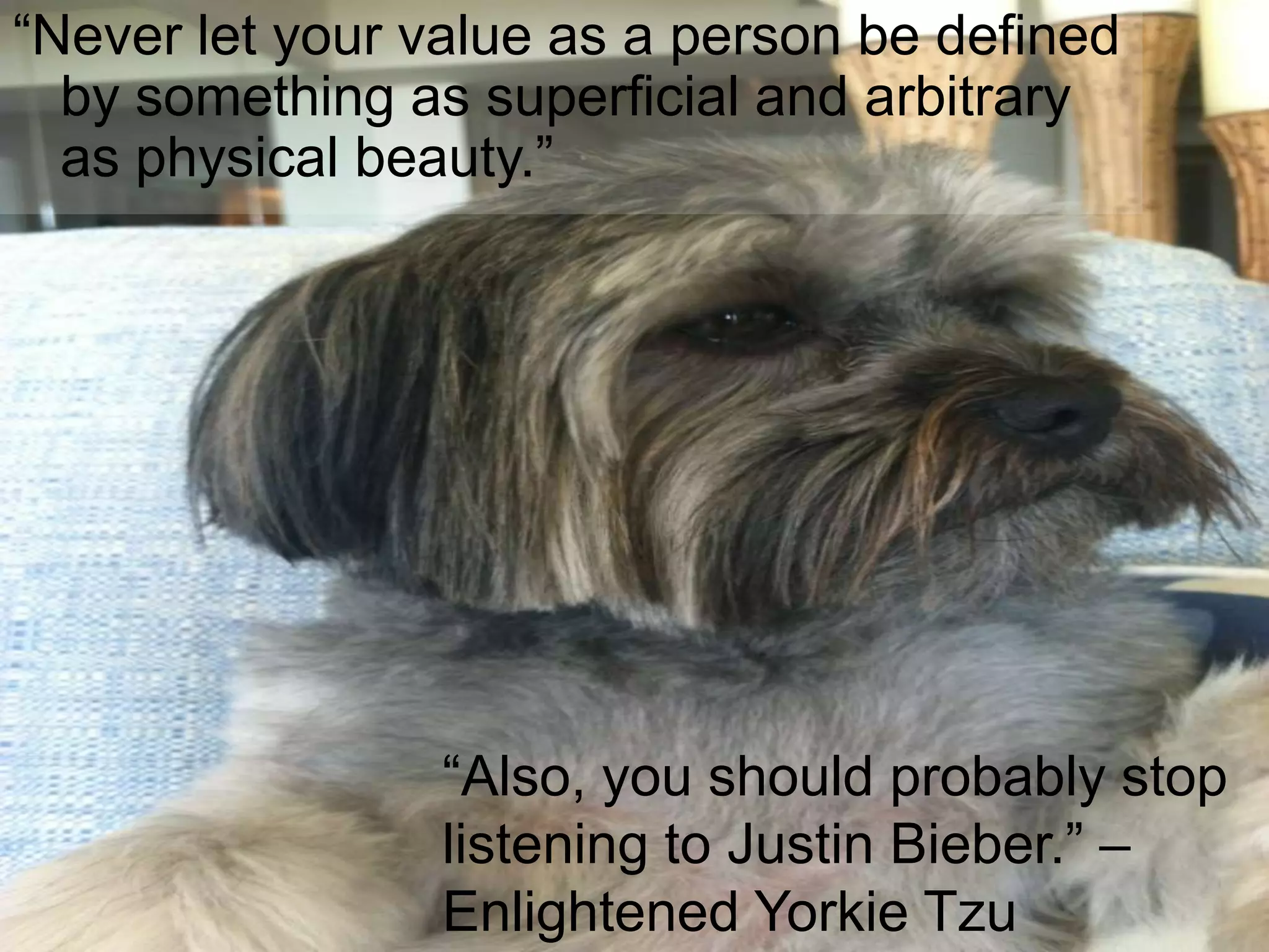 Enlightened Yorkie Tzu Meme | PPTX