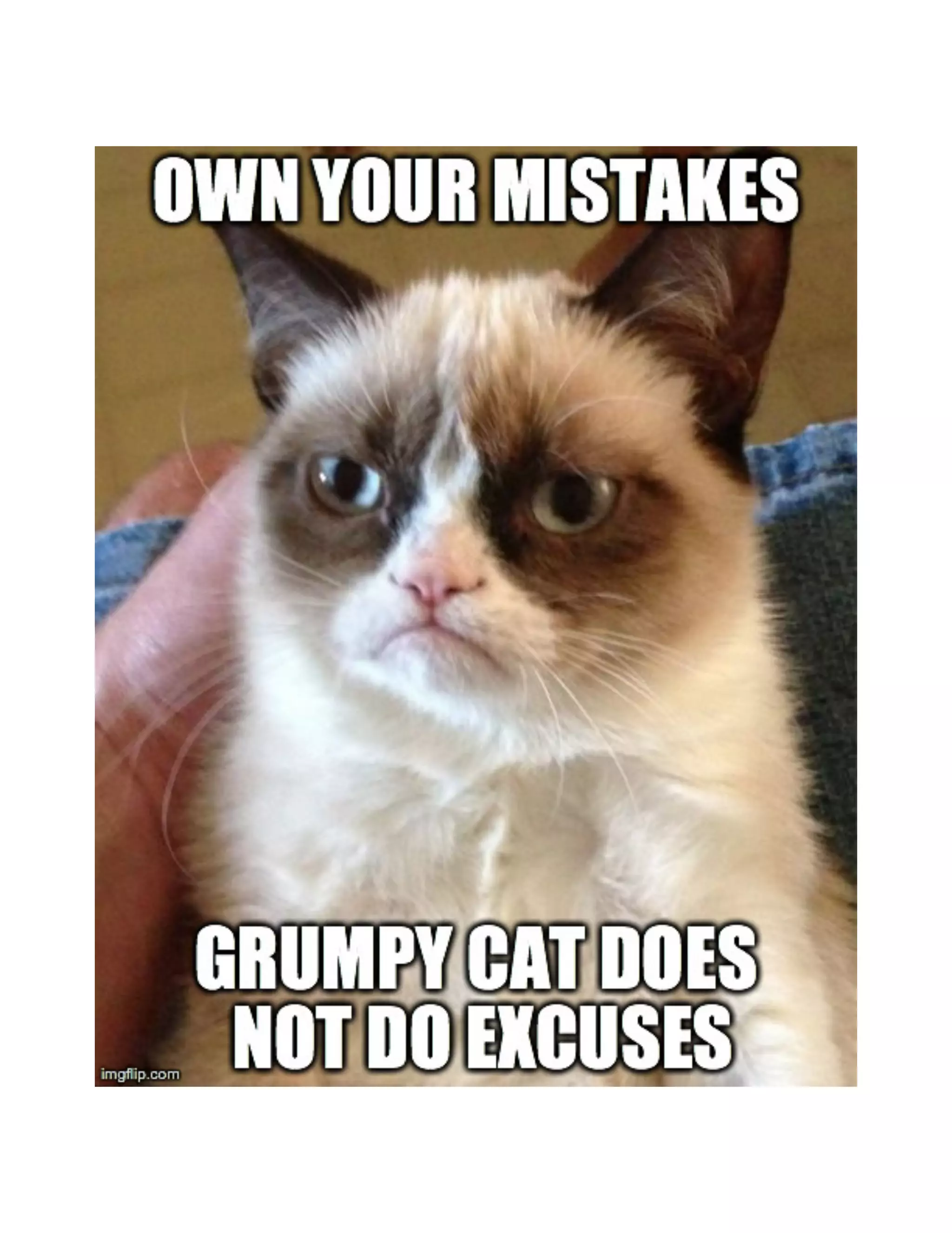 Meme 3 grumpy cat | PDF | Cats | Pets