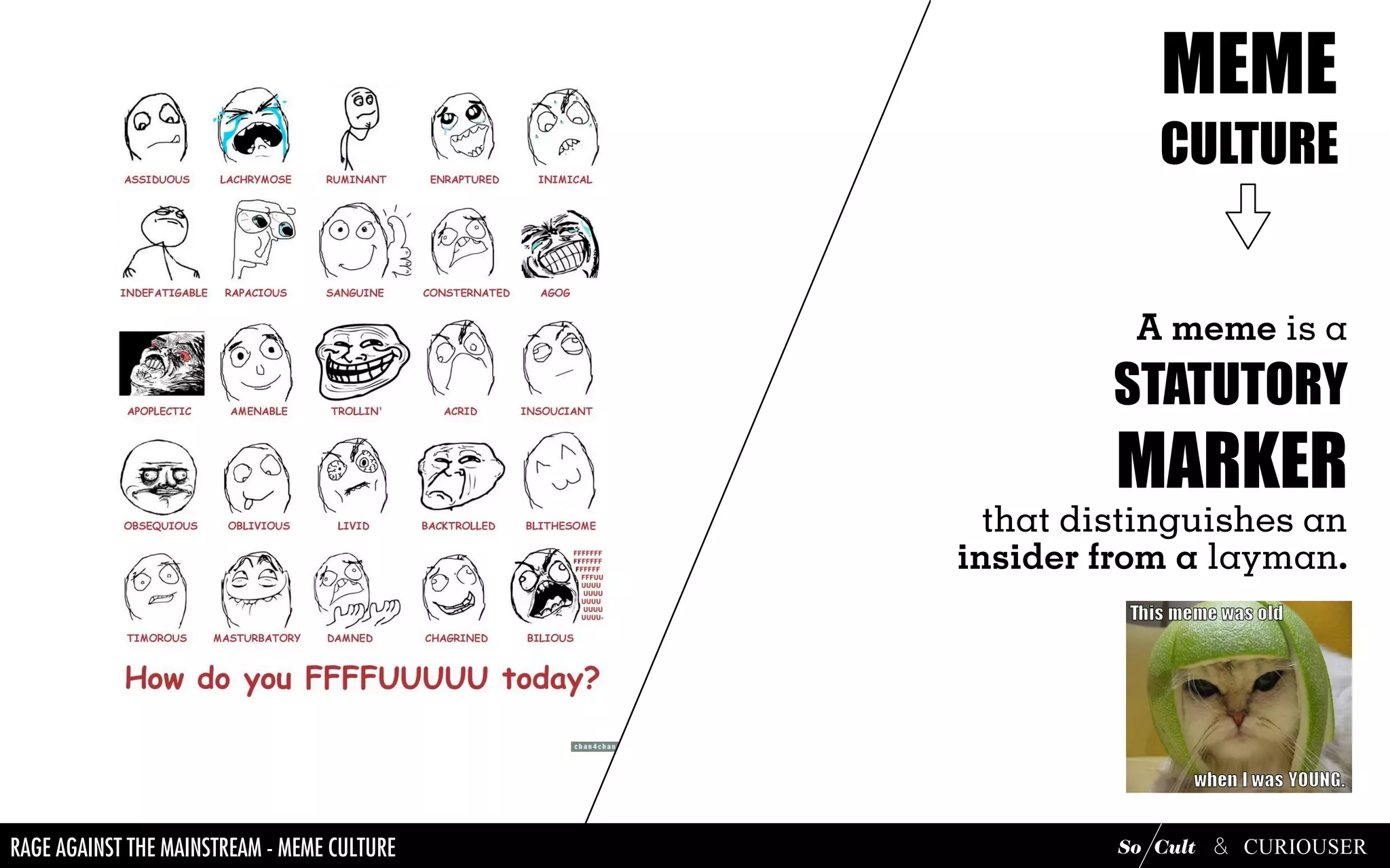 WTF is meme culture? / memes anatomy. | PDF