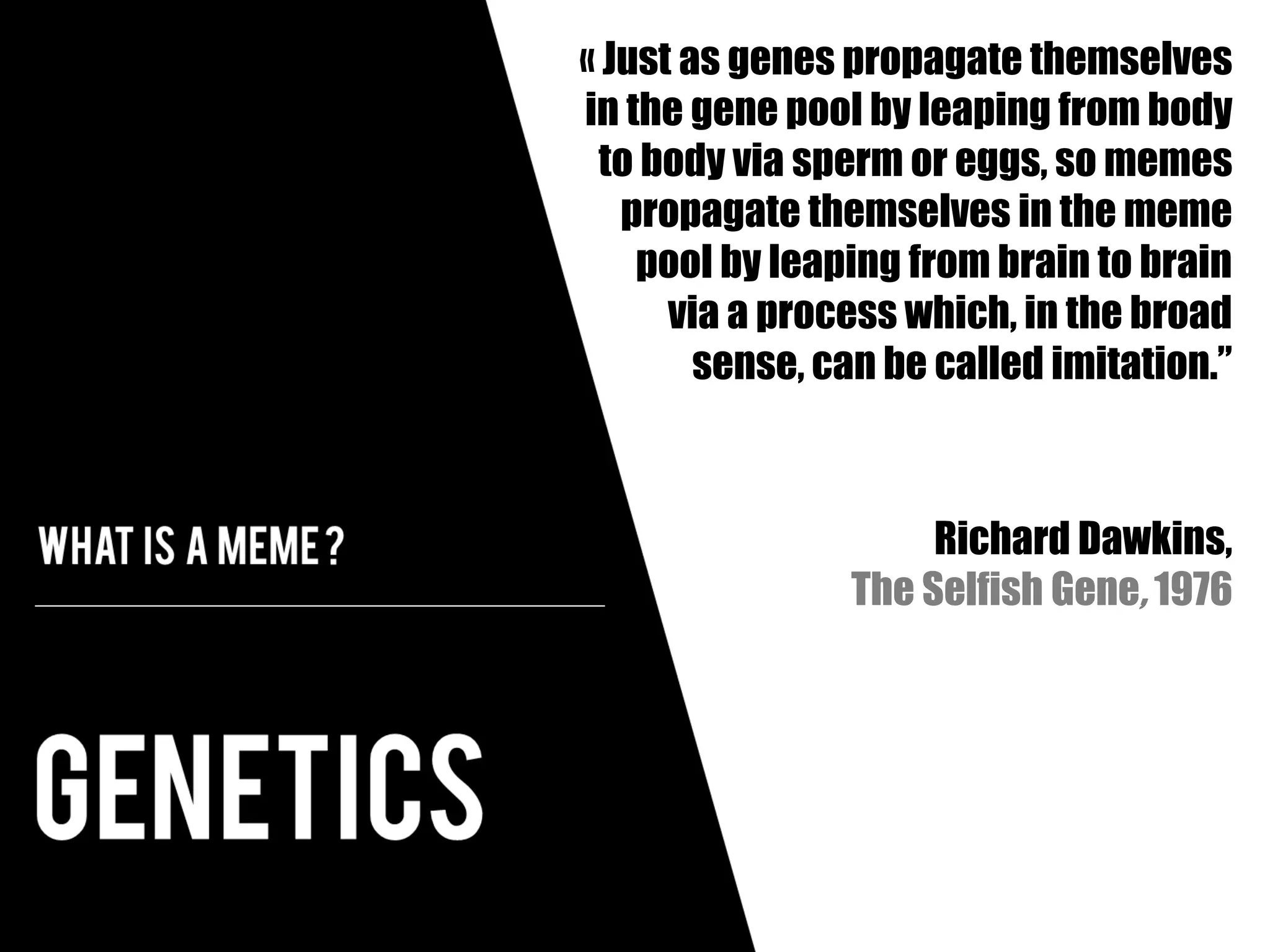 Meme culture & advertising | PDF