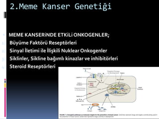 Meme kanseri ve Genetik | PPT