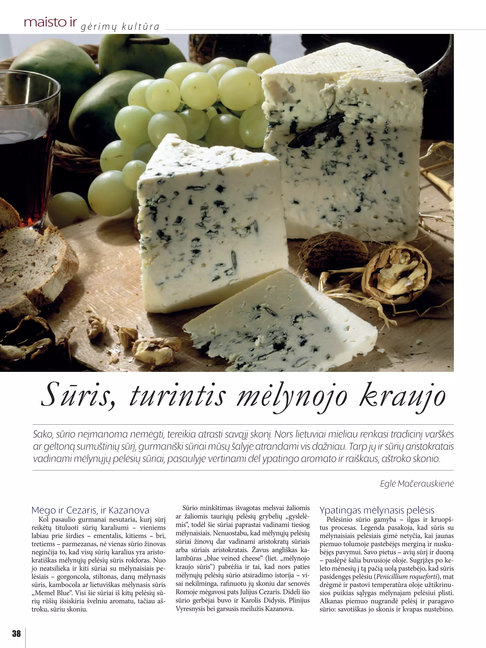 Sūris, turintis mėlynojo kraujo | PDF