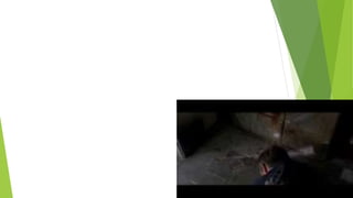 Memento visual essay | PPT