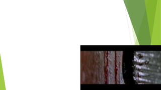 Memento visual essay | PPT