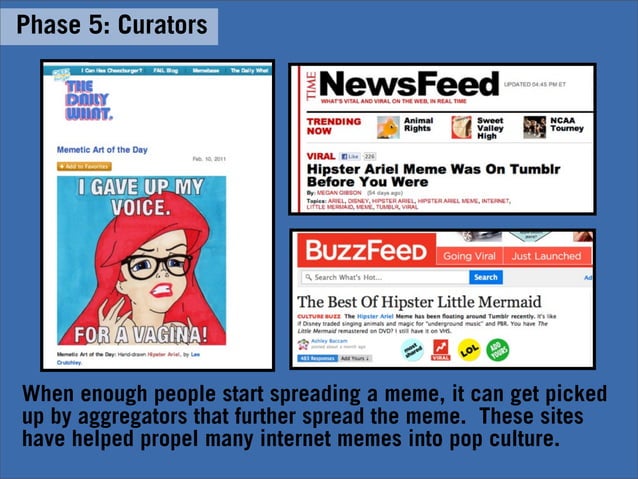 Meme Phases Explained | PDF | Internet | Computing