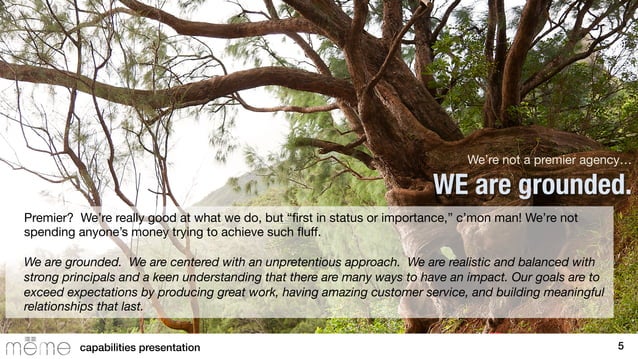 meme capabilities presentation | PDF