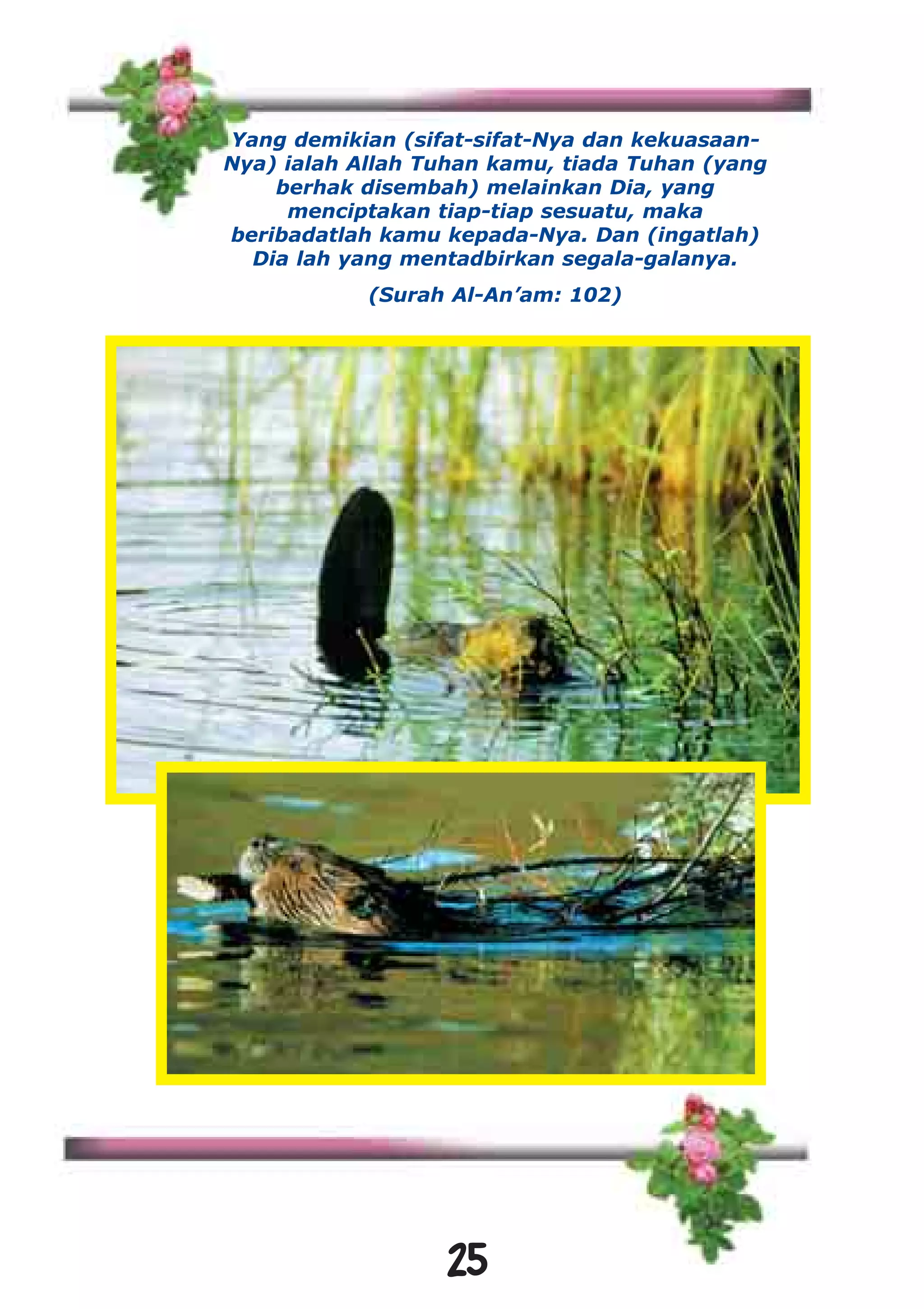 Memerang pembina empangan yang mahir. bahasa melayu | PDF